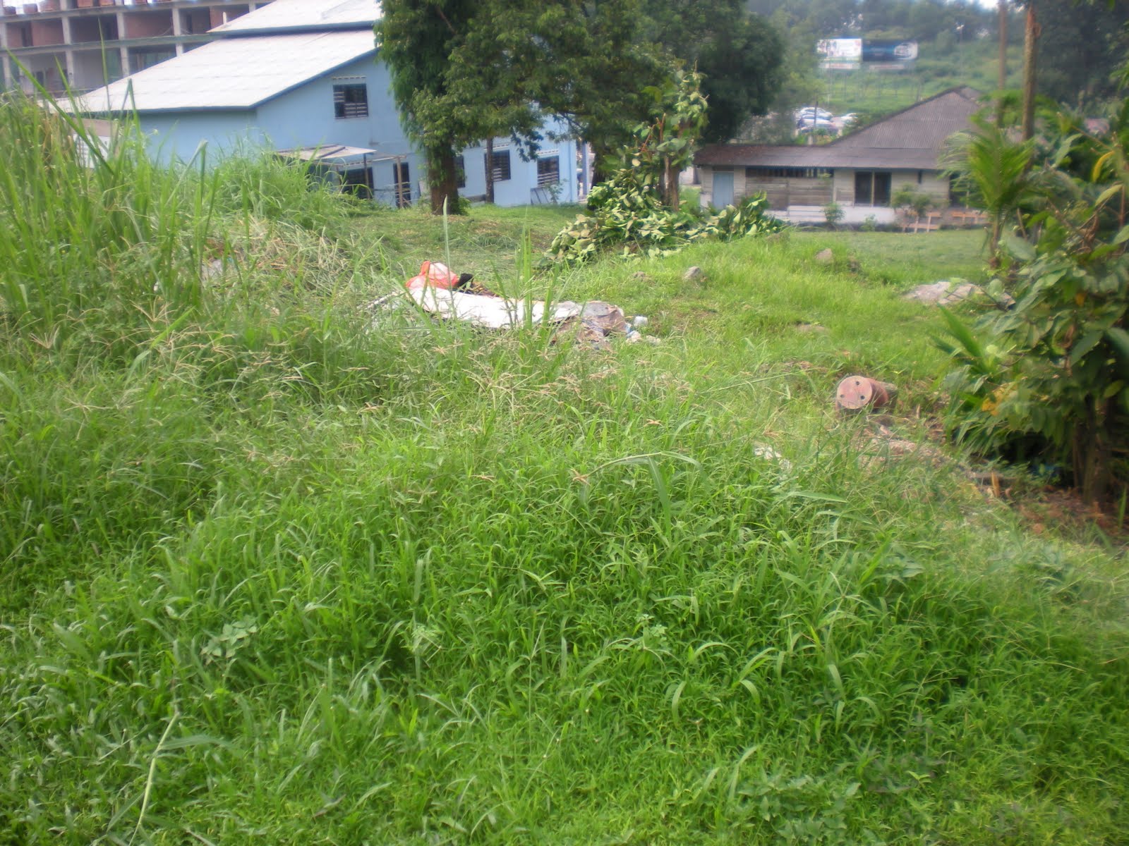 RUMAH dan TANAH untuk dijual - Kg Melayu Majidee: Sebidang tanah 8 lot ...