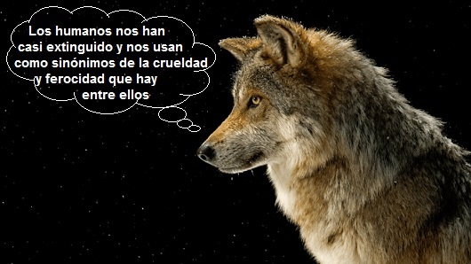 AD HUMANITATEM: ¿LLEVARÁ RAZÓN EL LOBO?