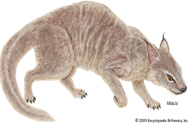 10 Makhluk Purba Nenek Moyang Hewan Masa Kini - Serba Top 10