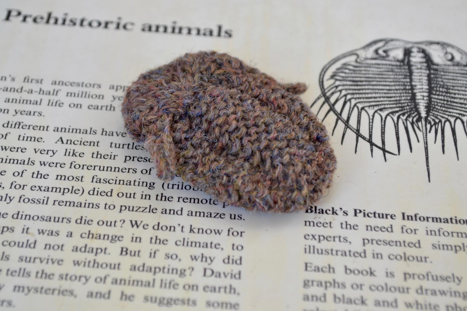 Ginx Craft : Trilobite