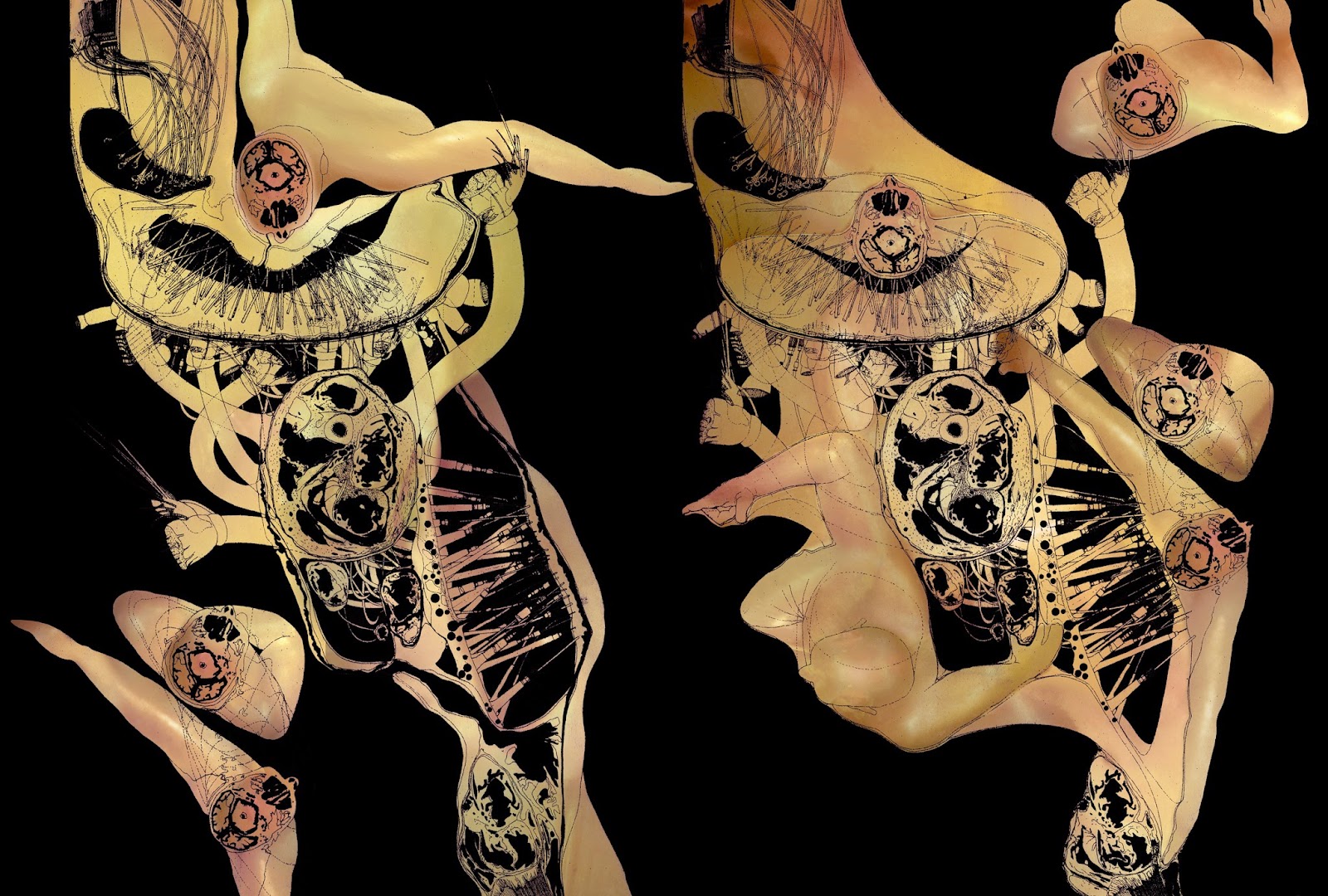 Marcos Cruz Architect: In-Wall Creatures