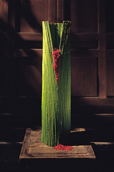 Simple Petals: Daniel Ost