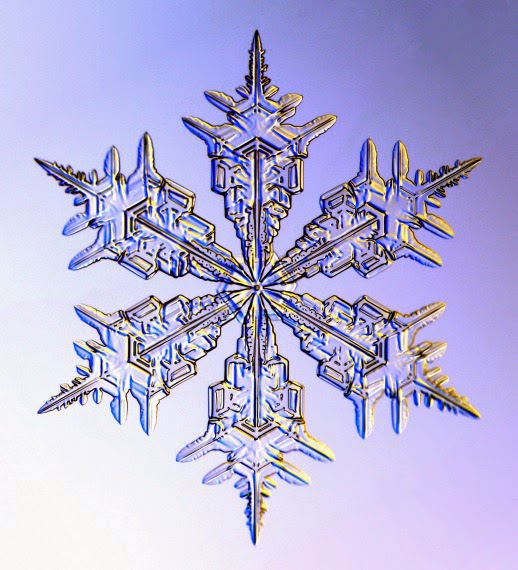 Readaholic Zone: Season's Meetings