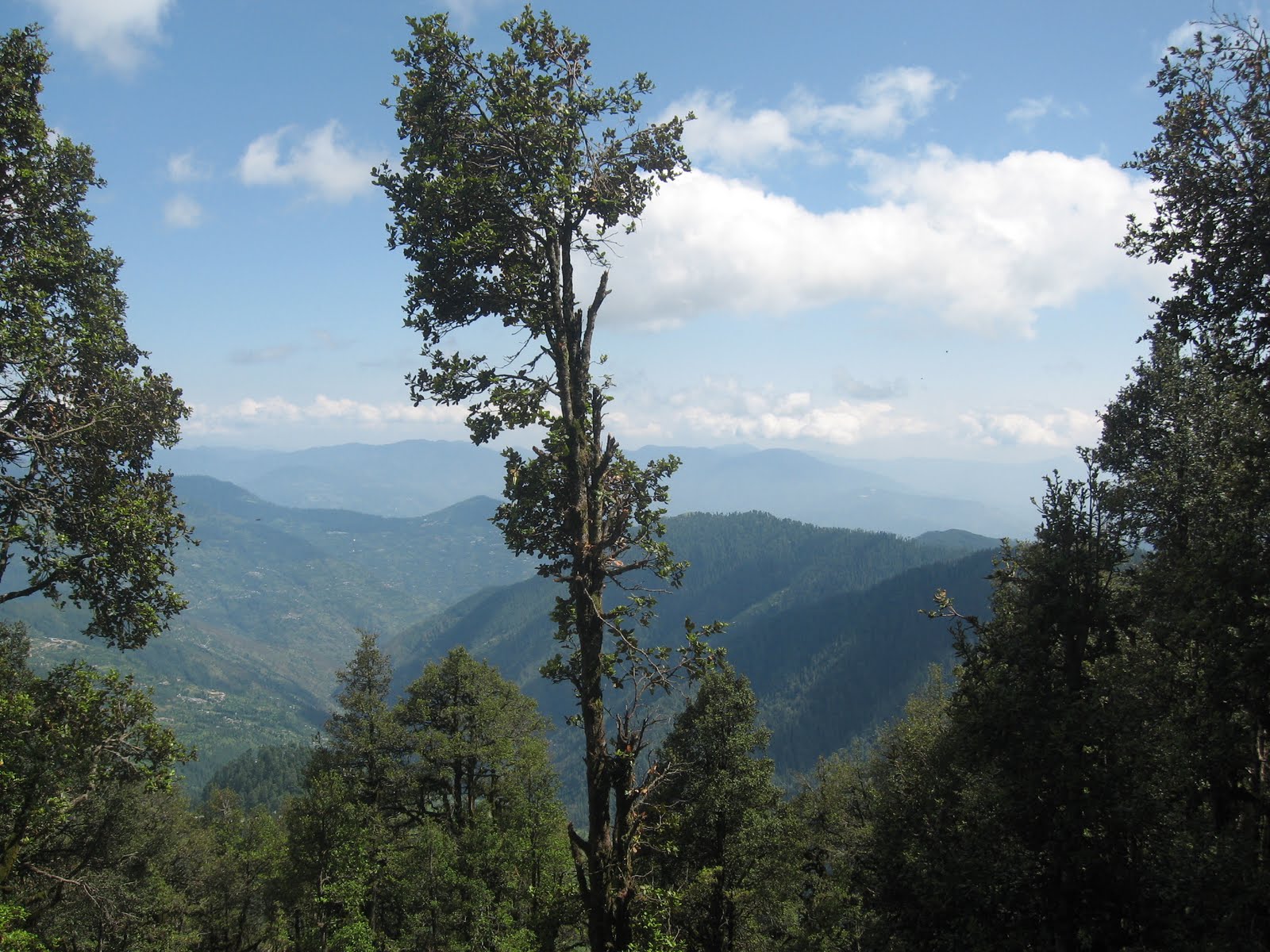 Libran Traveller: Sojha Valley- An Island of Serenity