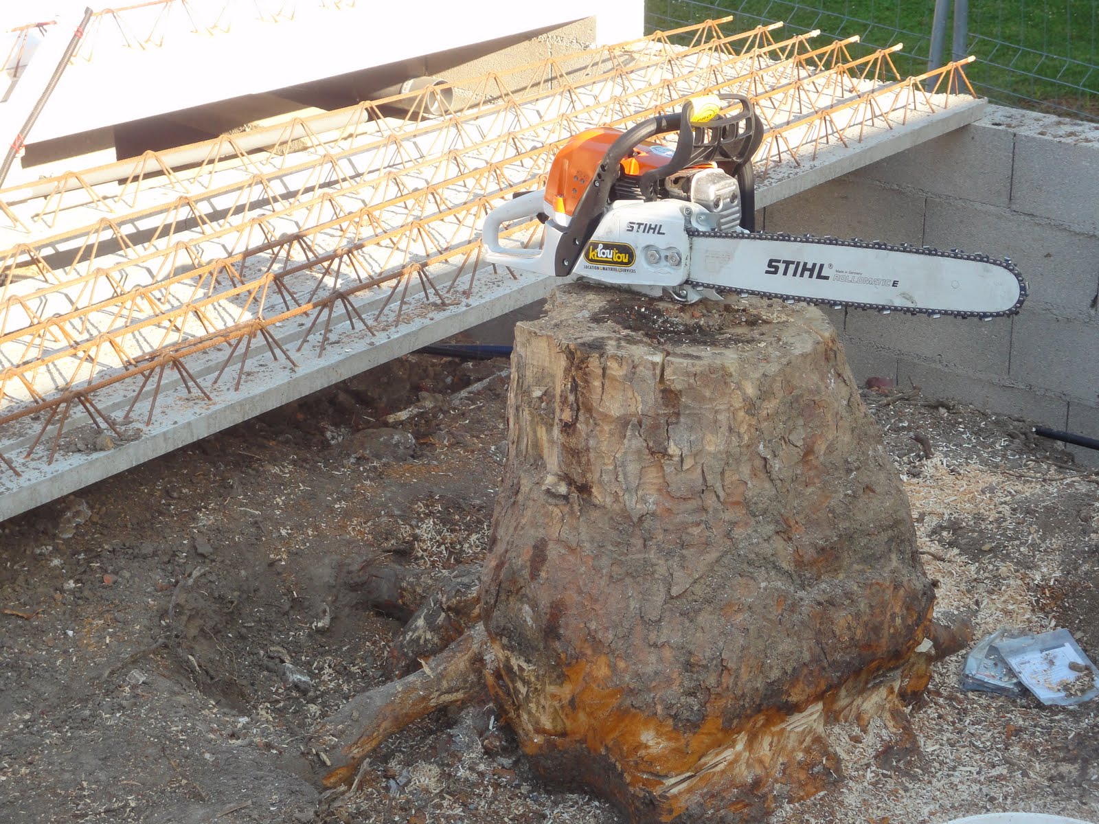 Notre maison - créée et vue par nous: La souche...