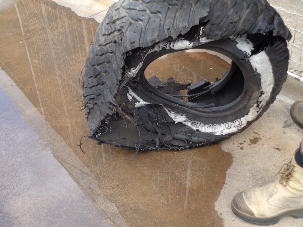 Jervoise Station, Queensland 2016