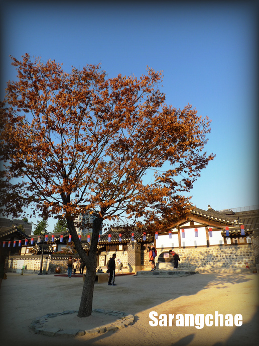 Sarangchae Korea | 悠游FUN