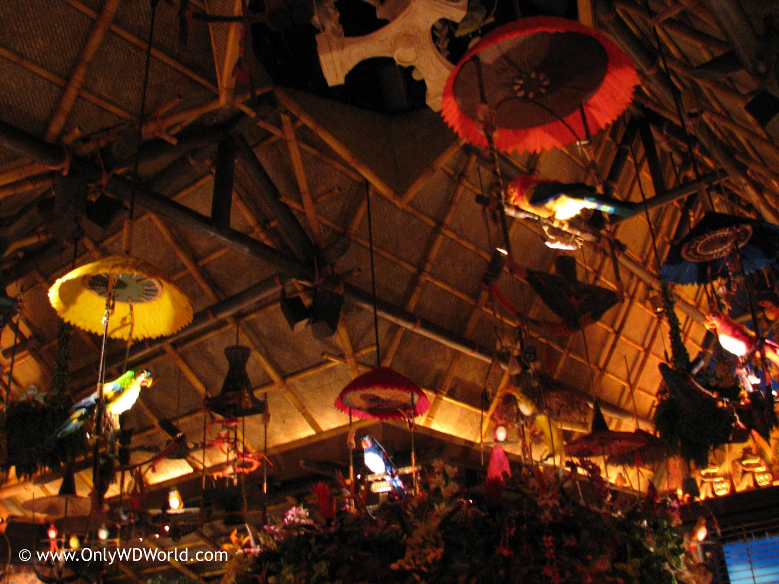 Disney World: 2011 The Year In Review | Disney World Blog Discussing ...