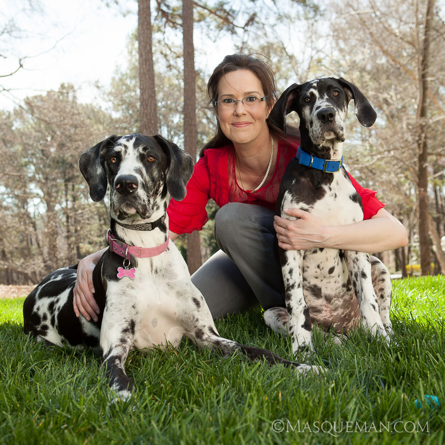 Portraits of Beautiful Harlequin Great Danes - Masqueman Creative ...