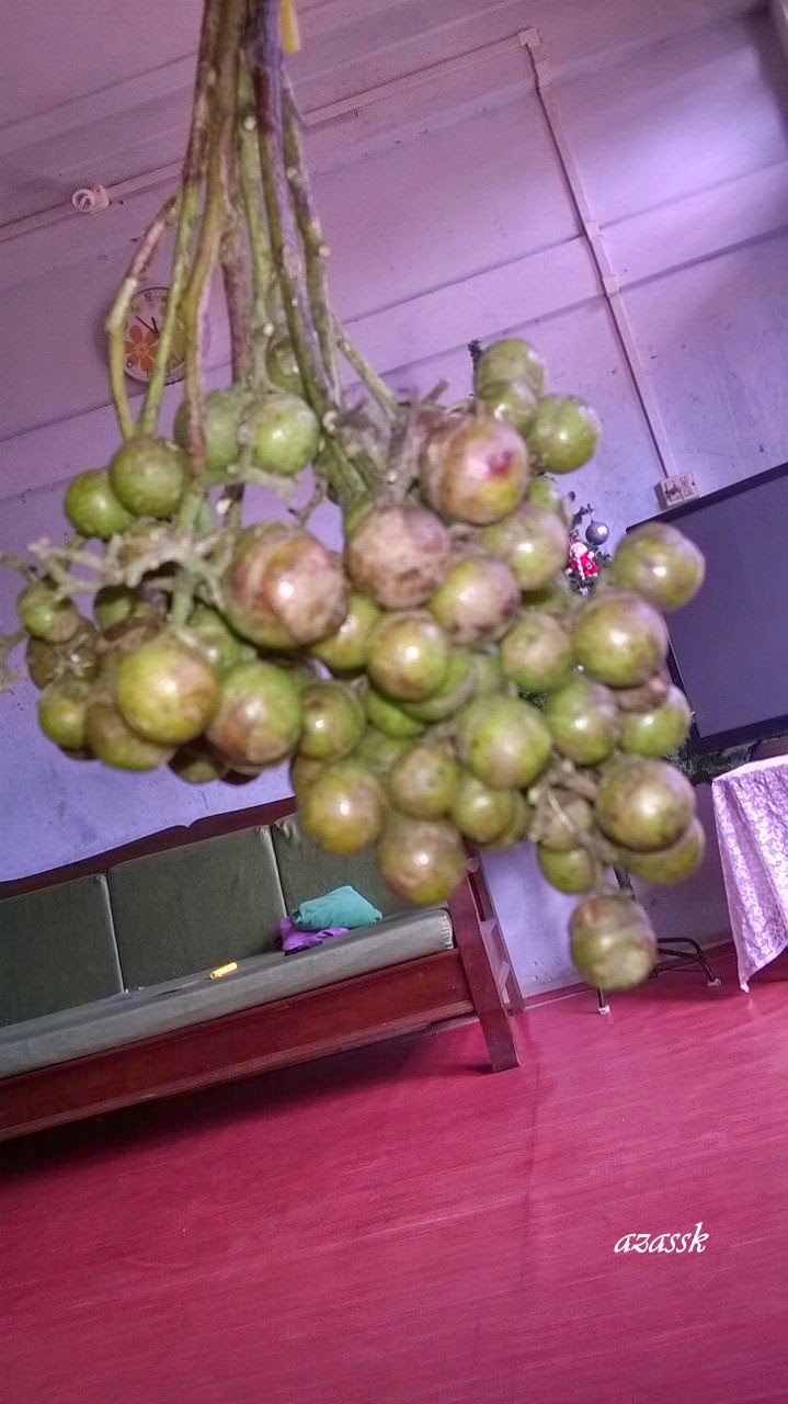 Calm-Sojourner: Mizo assortment