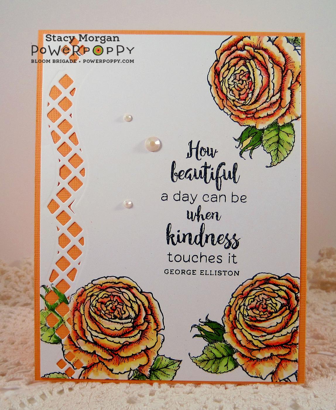 Twinshappy: Beautiful kindness