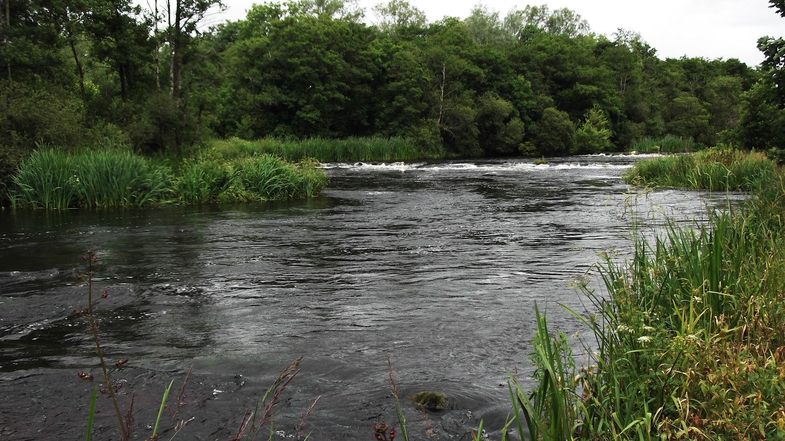 SALMON FISHING IRELAND 2023: July 2012