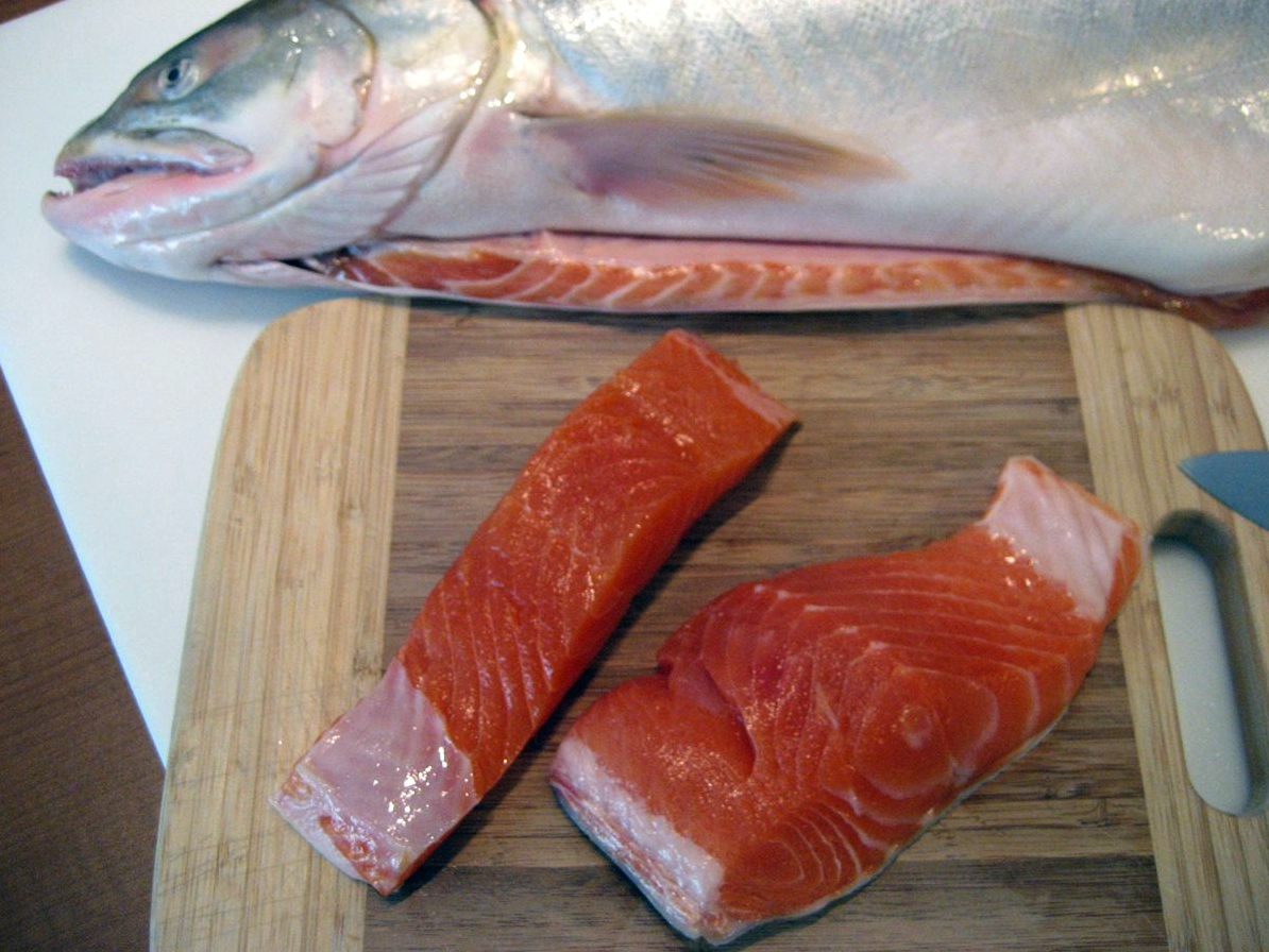 Arctic Salmon