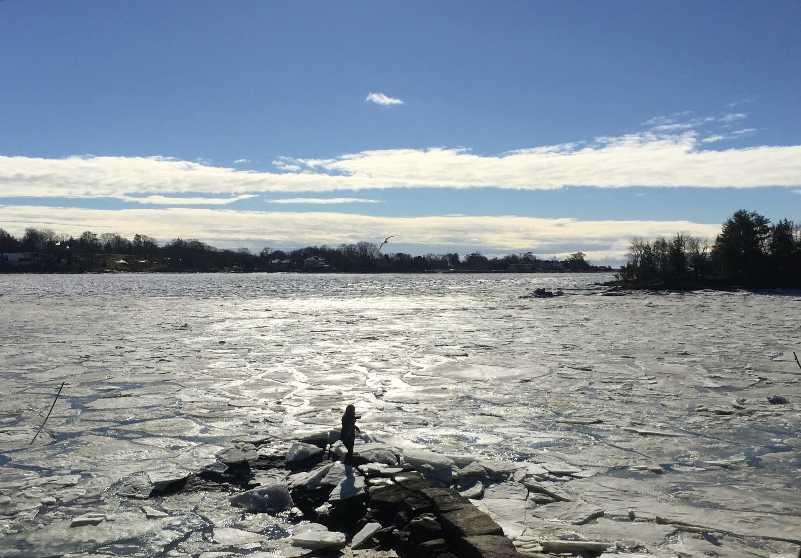 Frozen Cove – This Old House 2