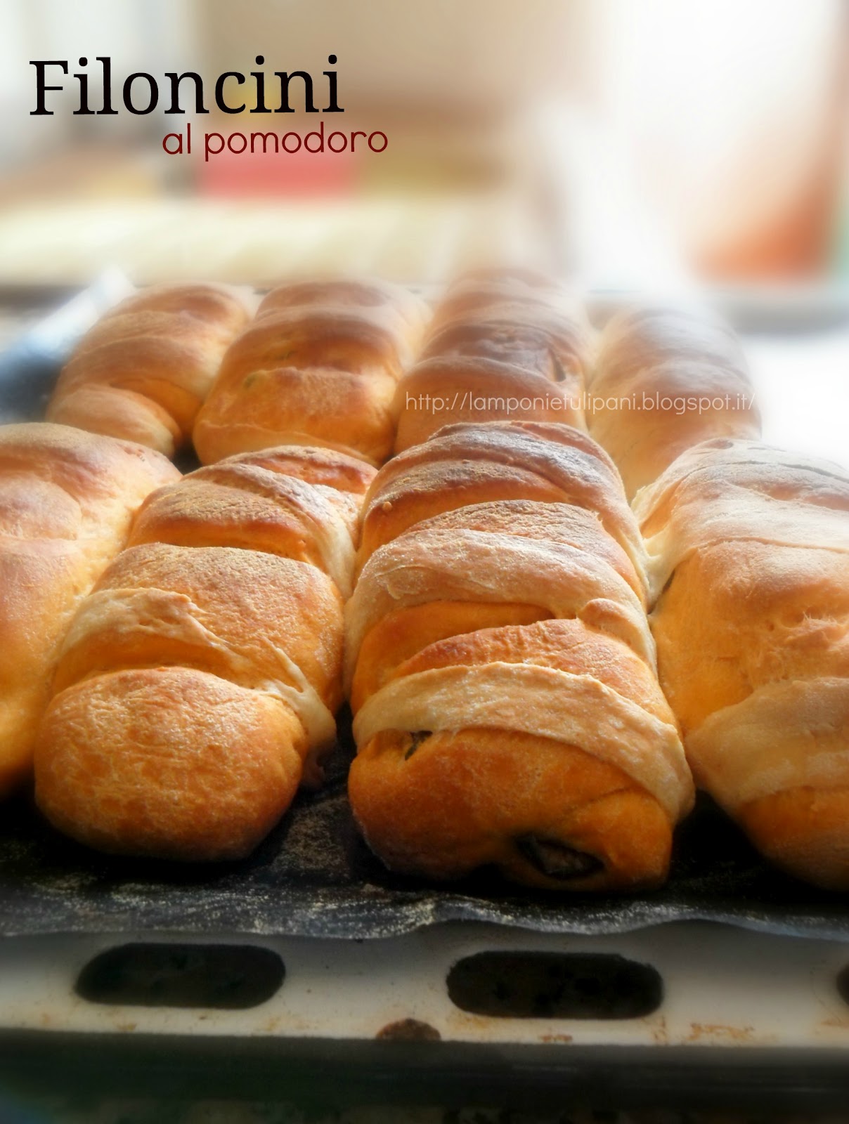 Lamponi e Tulipani: Cronaca di Roma