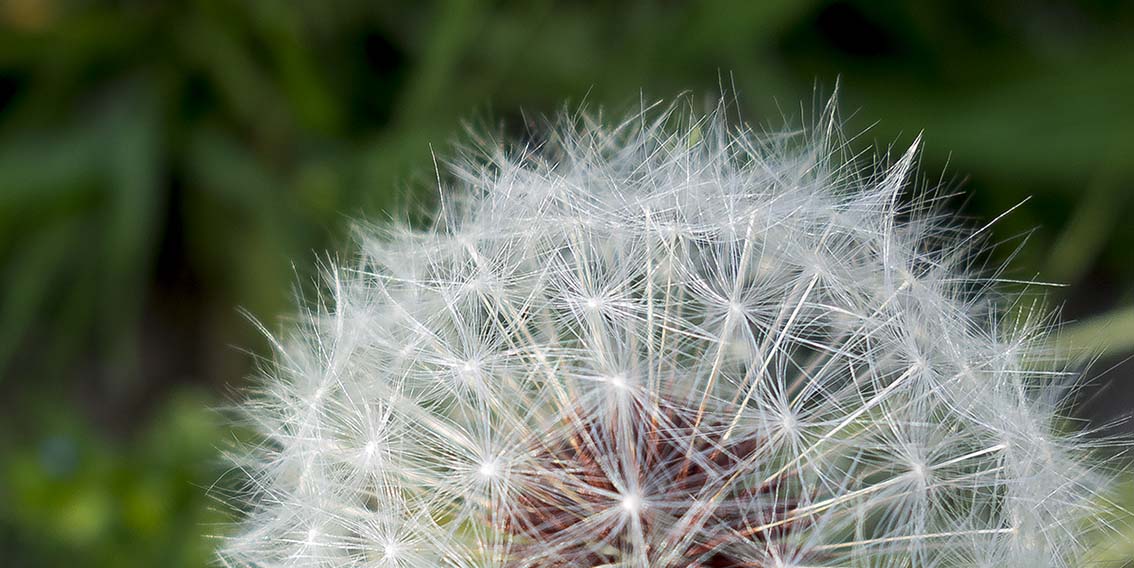 - Luz y arte -: 04.13