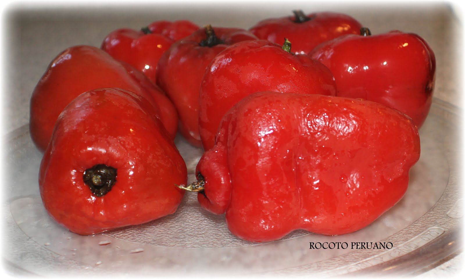 AmiestiloPeru: ROCOTO RELLENO