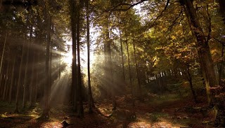 Elemen Visual Dalam Fotografi