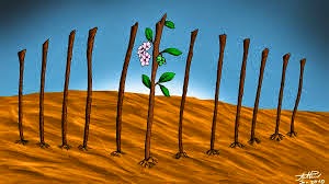 TEOLOGÍA DE MENOS A MAS: LA VARA DE AARON QUE REVERDECIO