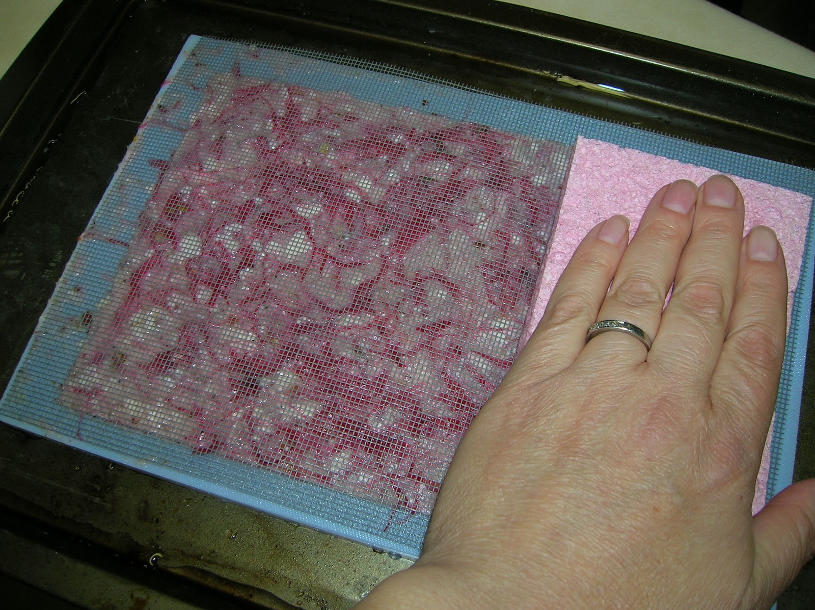 My Creative Mommy: Making Paper Is Fun And Easy!