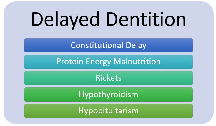 My notes: Its How I graduated Medical School.: Paediatrics: Head ...