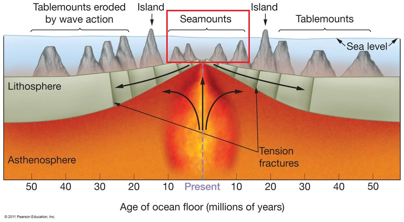 IAS Preparation- simplified like never before!: OCEANS SUBMARINE RELIEF