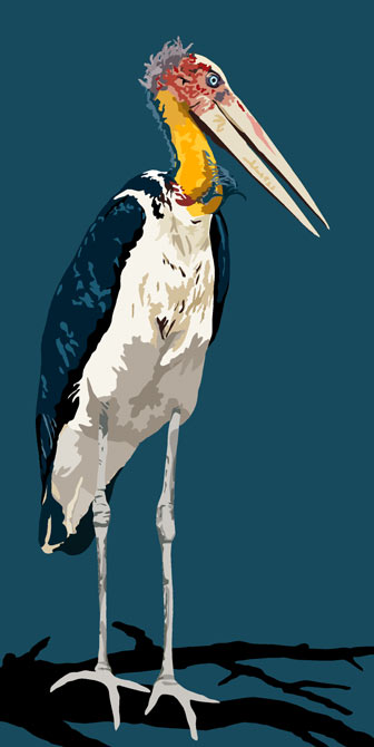 Animalarium: Mysteries of the Marabou