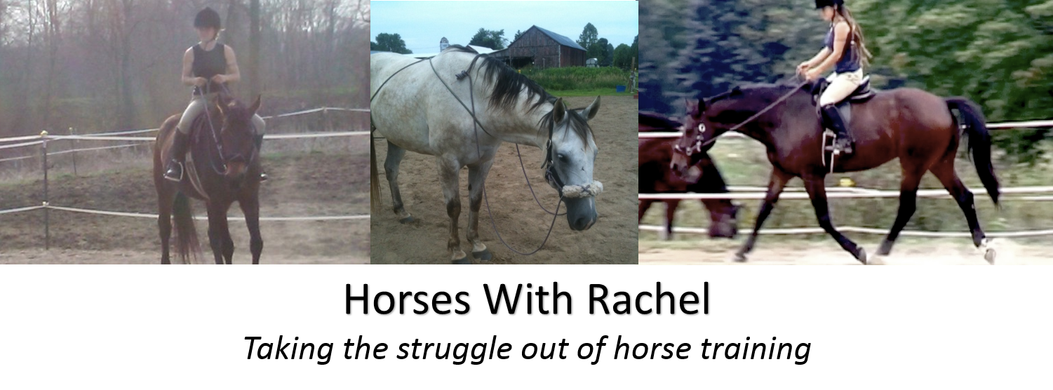 Horses With Rachel
