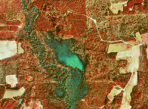 Map Catalog-Nick Fiorello: July 2013