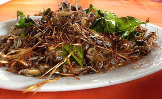 And I Think to Myself...What A Wonderful World.: "They Actually Eat ...