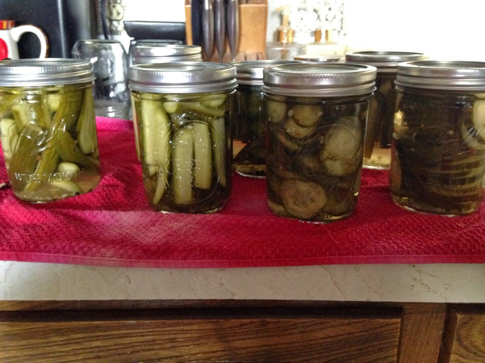 In the Kitchen and Five Chickens: First Ever Pickle Experiment