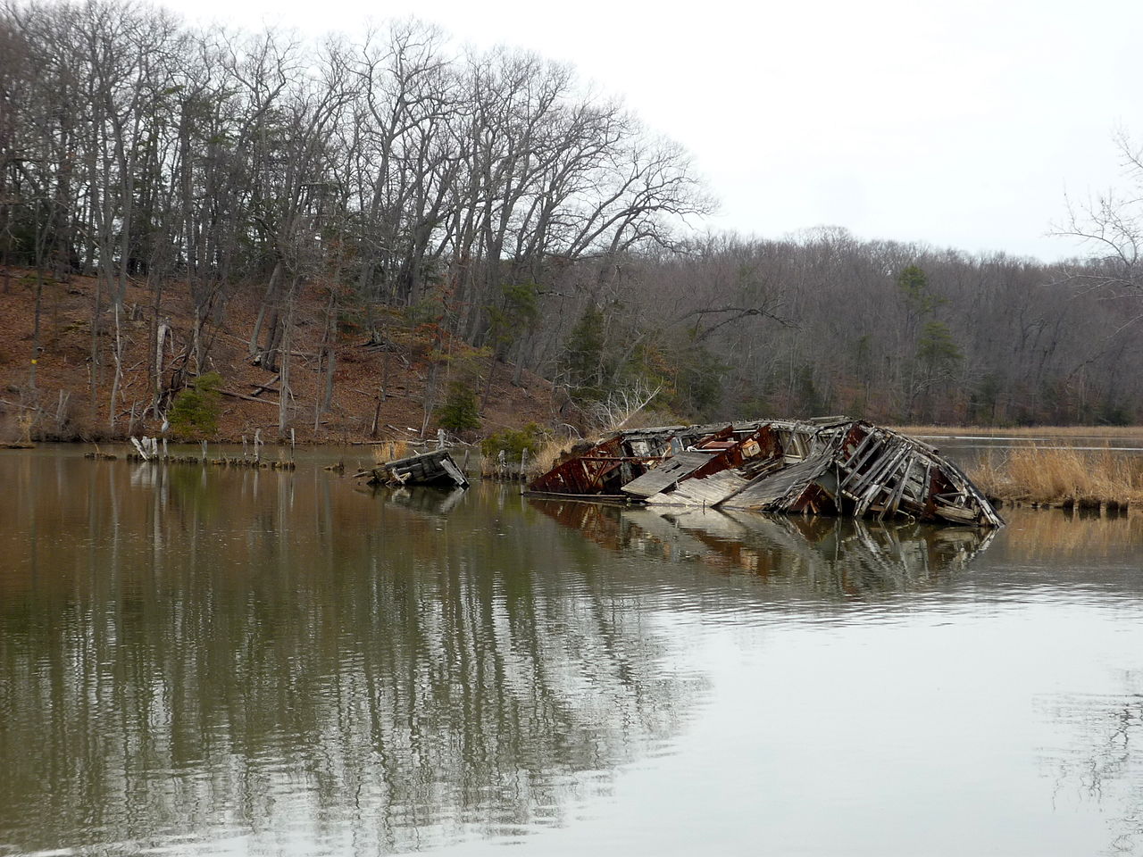 Heroes, Heroines, and History: The Ghost Fleet of Mallows Bay