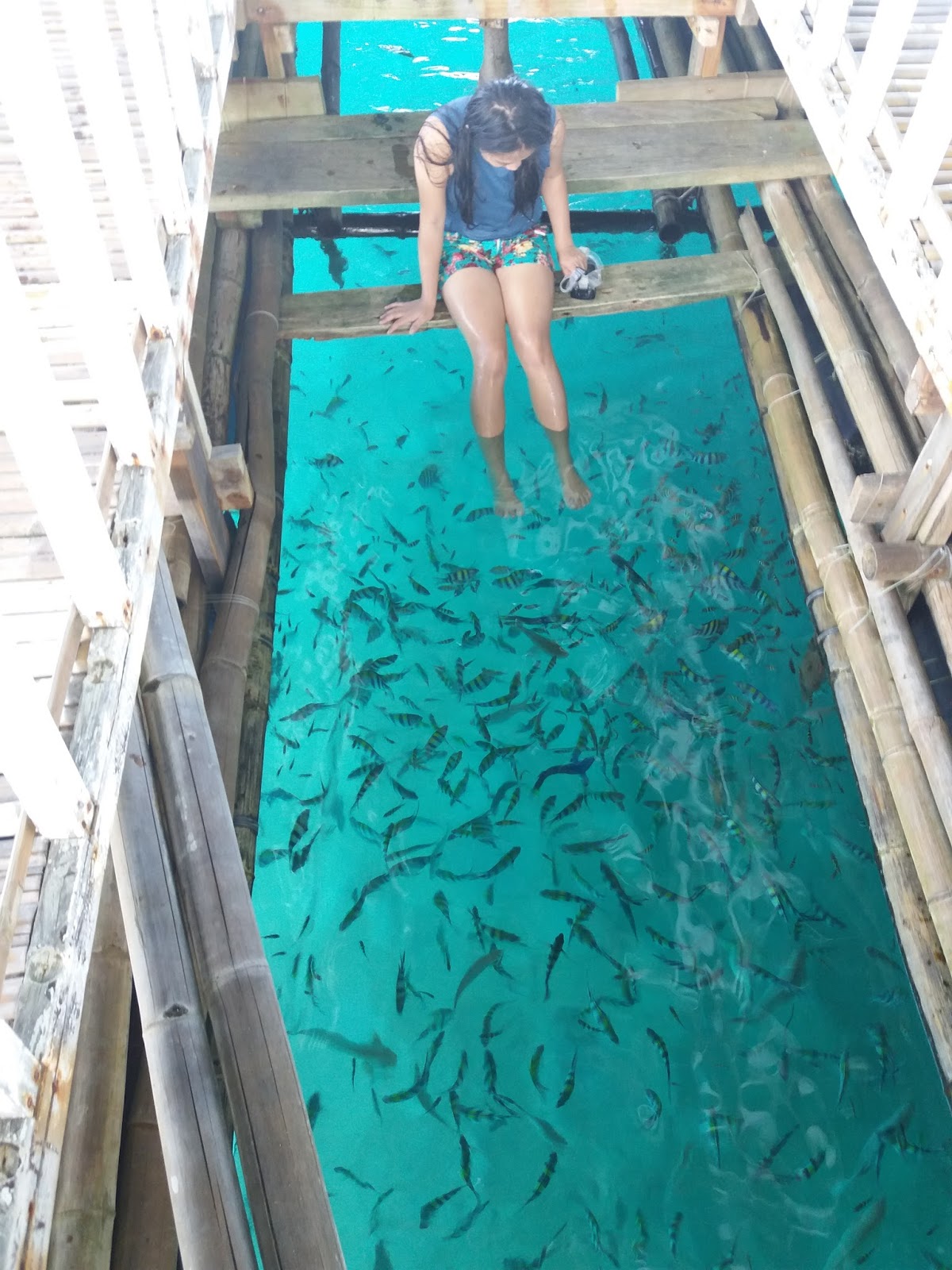 Looc Bay Marine Refuge and Sanctuary