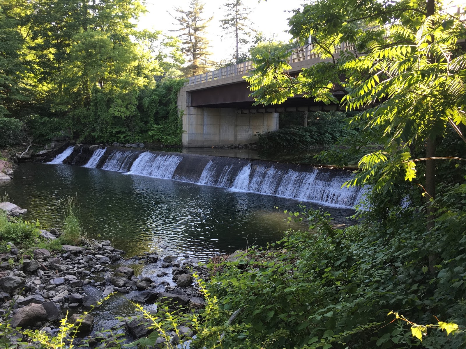 Debbie's Blog: Colonel Moore's Six Story Mill at the Mill St. Dam Site