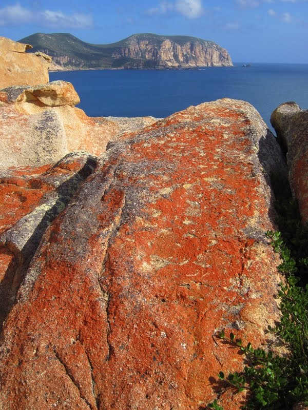 Kayaks across Bass Strait: On Erith Island