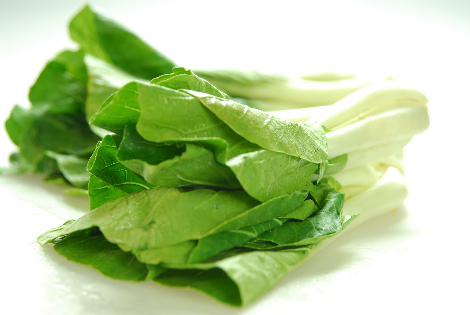 petchay - philippin news collections