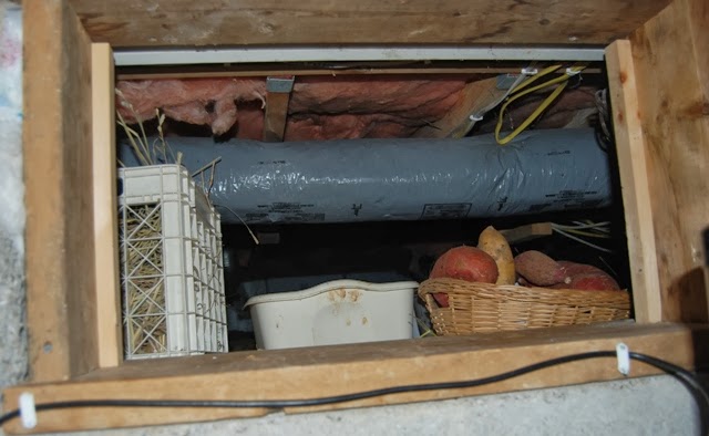 Kid Friendly Organic Life: My Fantasy Root Cellar!