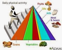 The Concepts of Nutrition: The Characteristics of a Healthy Diet and ...