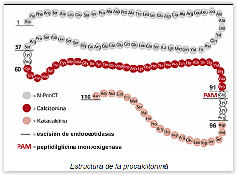 Doença de Crohn: novas perspectivas: Procalcitonina