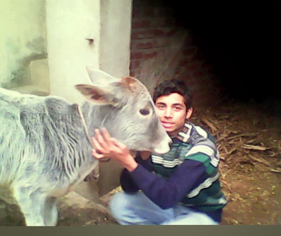 Deepansh Gupta