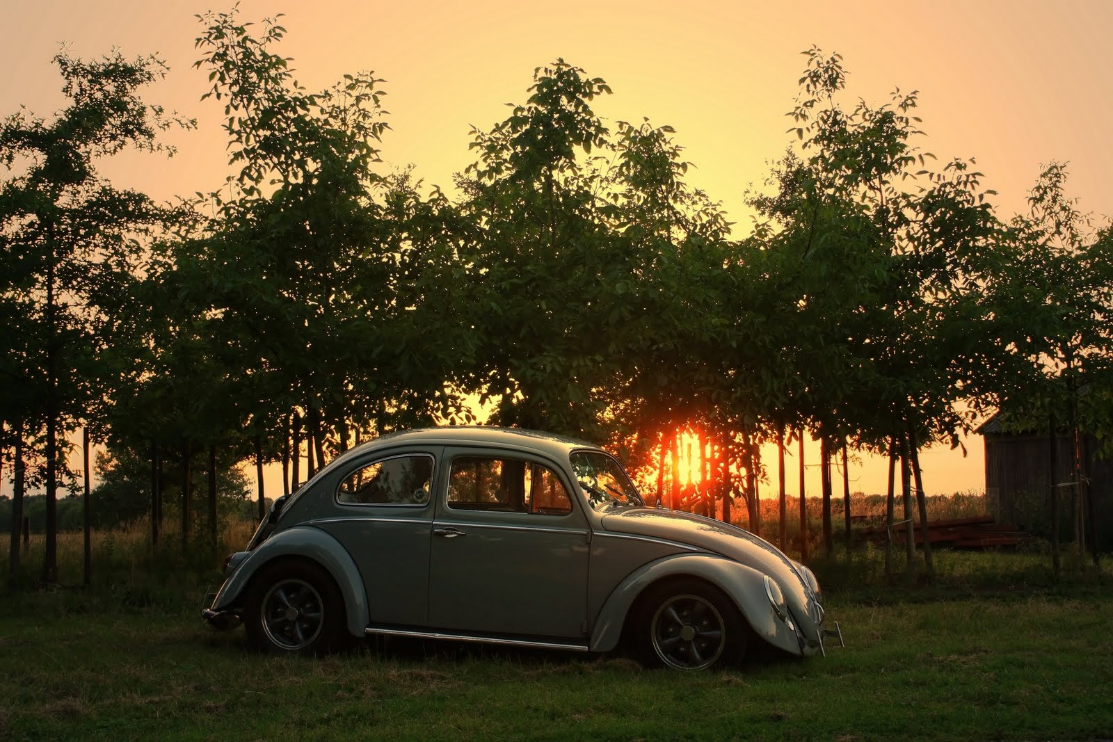 (o\_!_/o) .:Fusca Clube de Áurea:. (o\_!_/o): FOTO DO DIA - Call Look