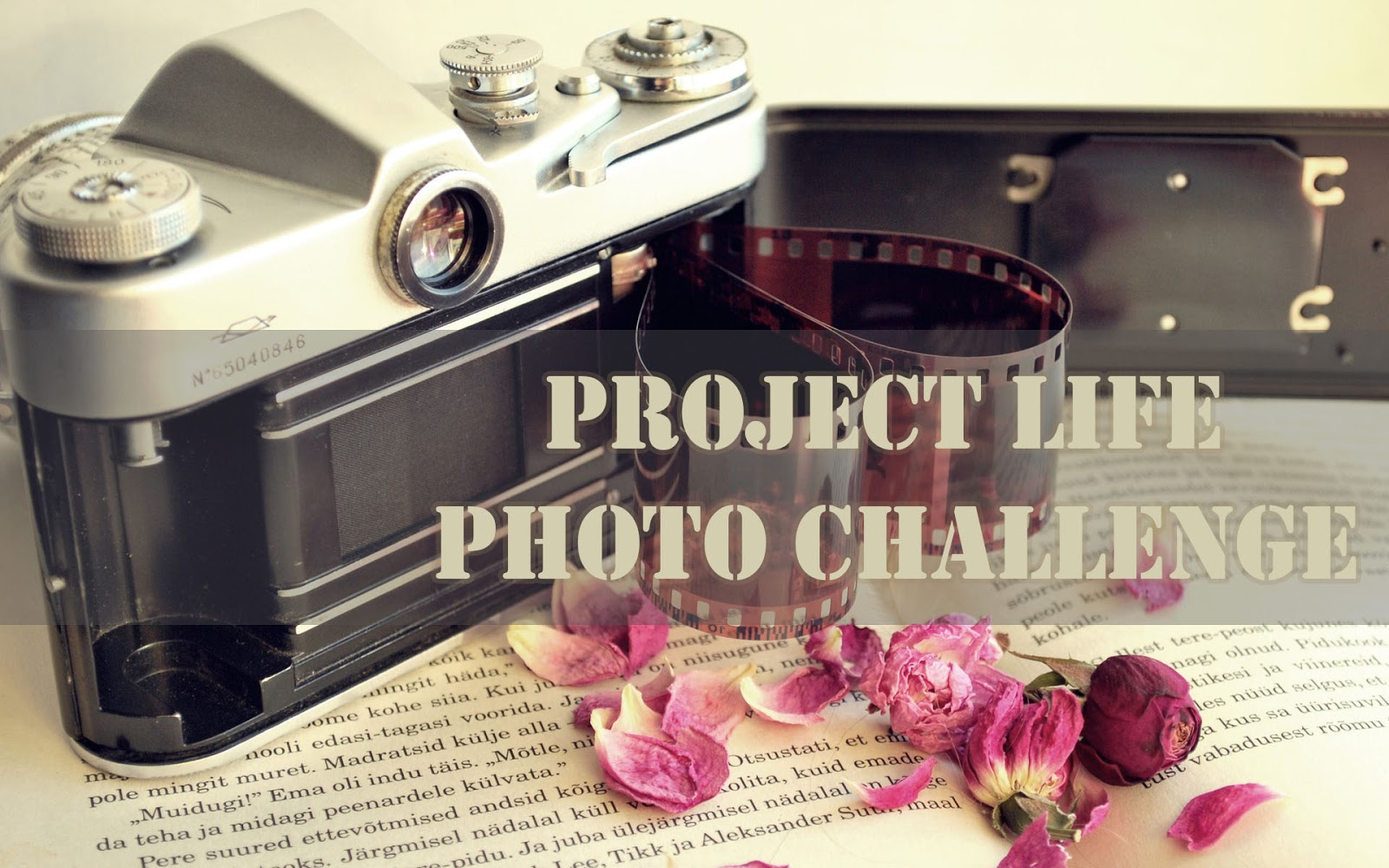 Dianka Kreativity: PL Photo Challenge - 03/2015 - Jak to dopadlo