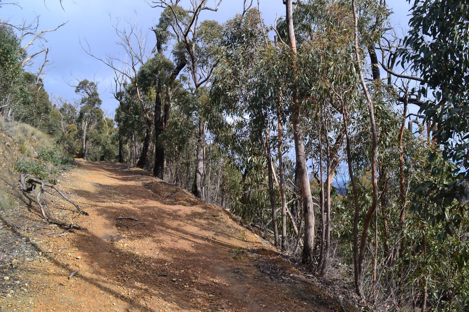 Goin' Feral One Day At A Time: Mt Everard Circuit, Kinglake National ...