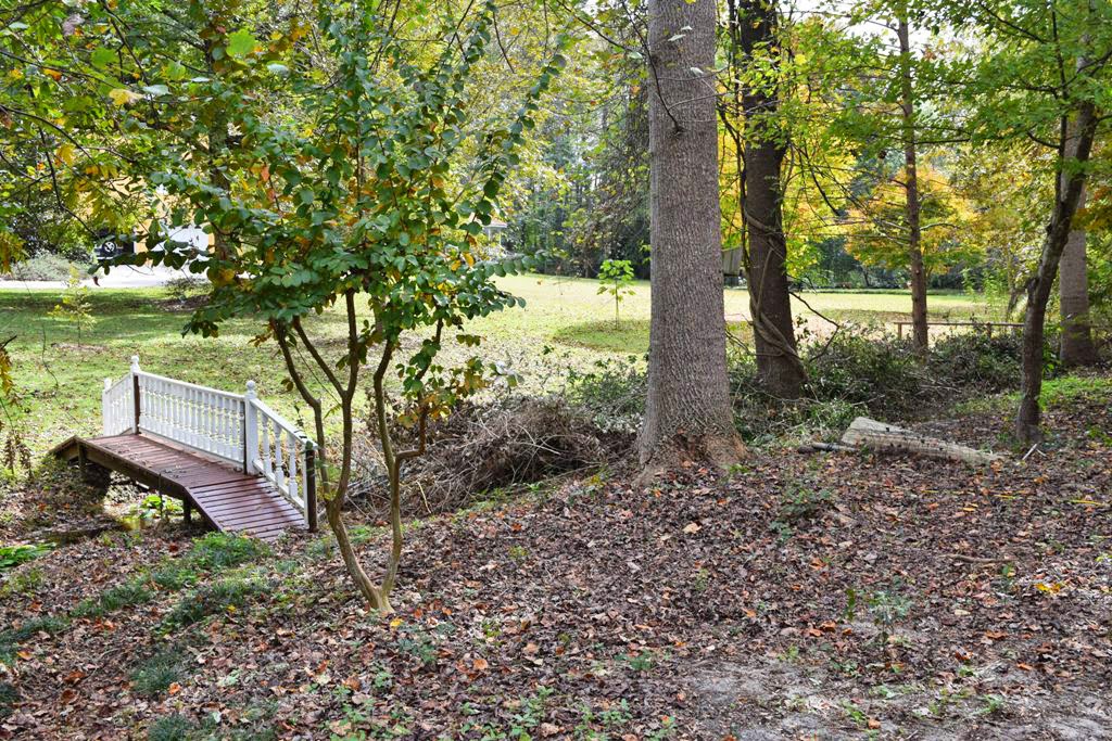 MARIETTE'S BACK TO BASICS: {Fall Colors & Clearing the Underbrush}