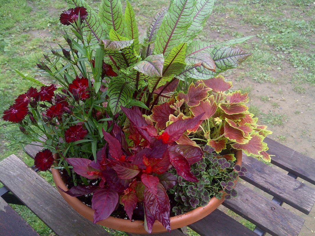 Macris Planta / El presidente Macri recorrió una planta de tratamiento ...