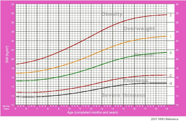 BenveNutri: Obesidade na Adolescência