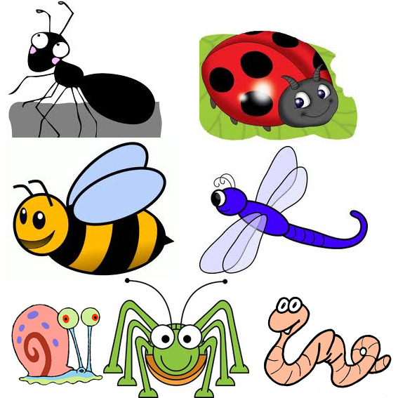 Our English Corner: MINI BEASTS