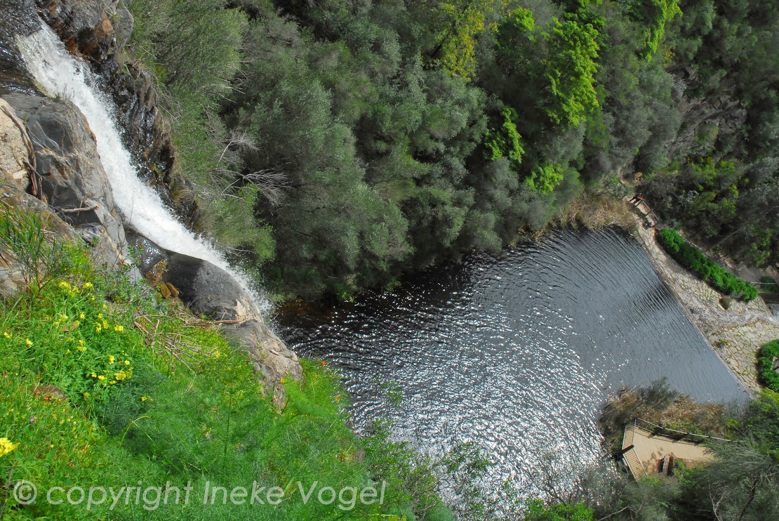 Australian waterfalls: 2009