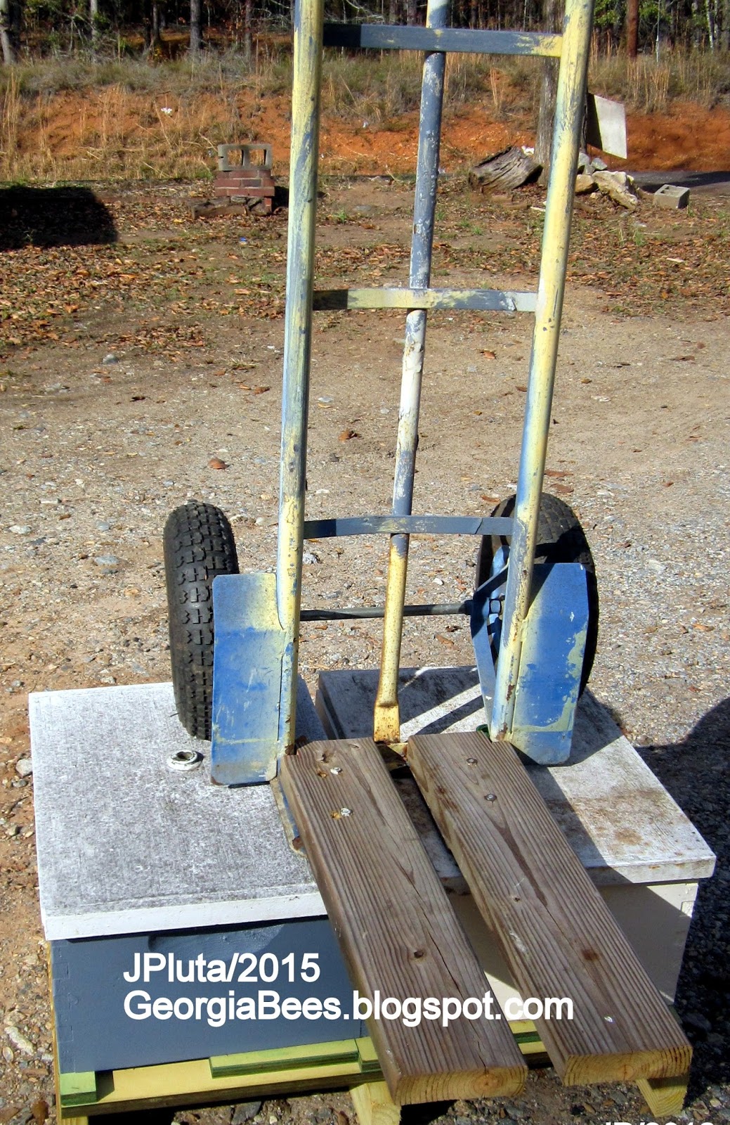 BEEKEEPING Beekeeper Honey Bees Pollen Wax Candle Propolis Queen Nuc ...