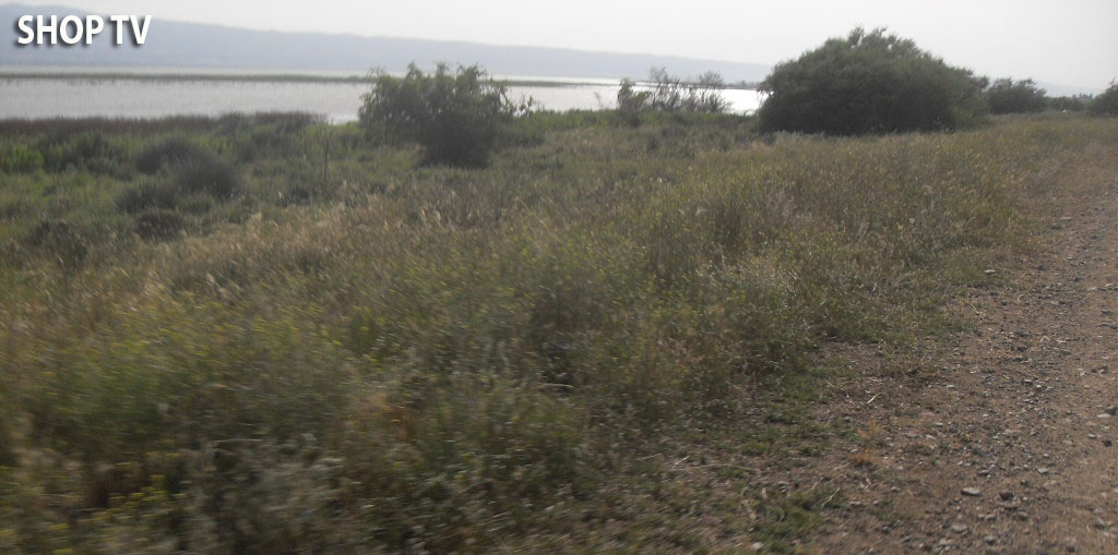 Η ΦΩΝΗ ΤΗΣ ΕΠΑΡΧΙΑΣ ΛΑΓΚΑΔΑ: ΕΙΚΟΝΕΣ ΑΠΟ ΤΗ ΜΑΓΕΥΤΙΚΗ ΛΙΜΝΗ ΚΟΡΩΝΕΙΑ...